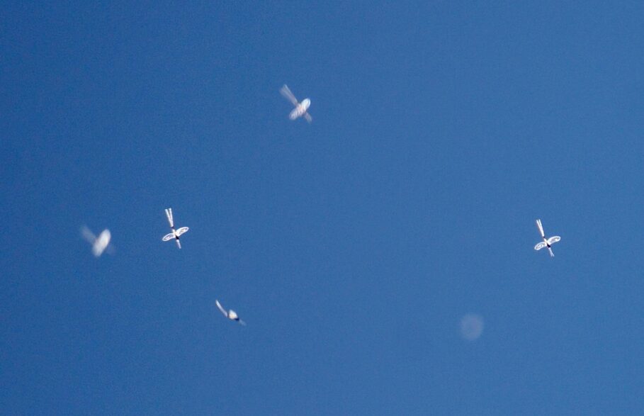 Emerger flies are easy to use, and they catch fish. Here’s what you ...