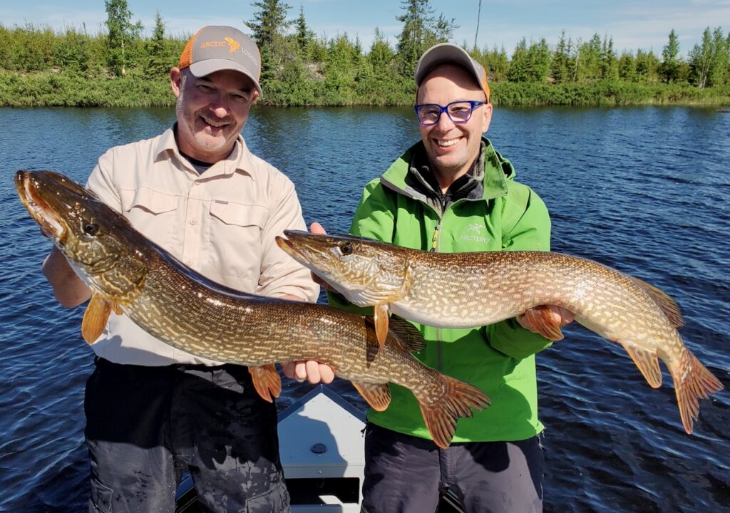 In 2021, Saskatchewan’s Reindeer Lake was a fishing hot spot—in more ...