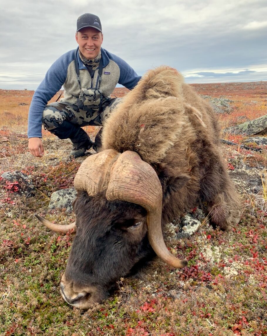 What it takes to harvest (and pack out!) a world-record muskox ...