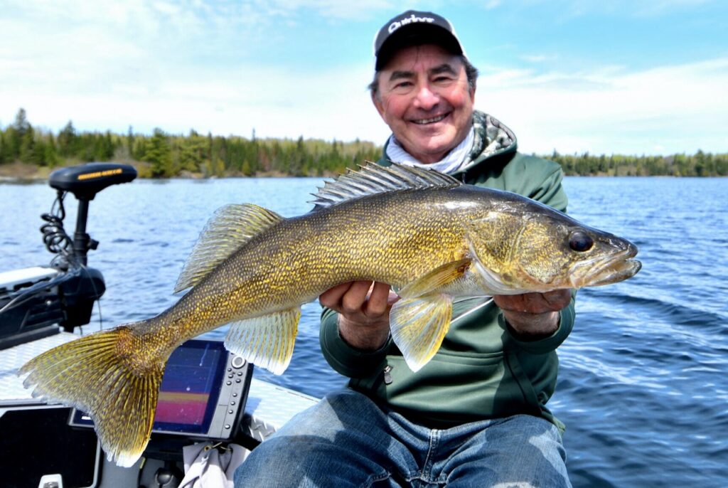 To catch big fall walleye, smallies, muskies and pike, you need to be ...