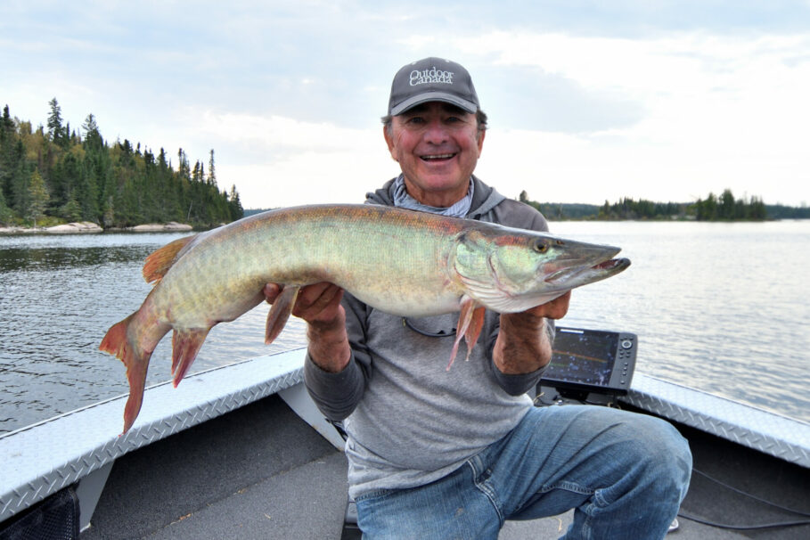 Walleye fishing Q&A: Live vs. preserved minnows, jigging depth and more ...