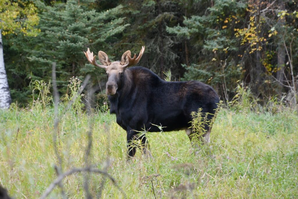 Three cool Canadian hunting and fishing getaways for autumn adventure ...