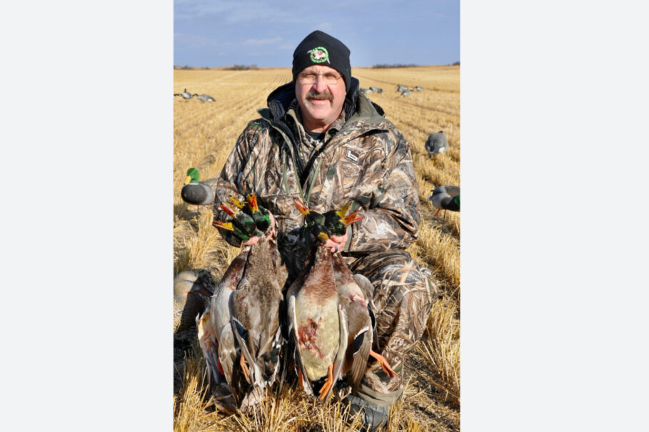 How to hunt dabbling ducks on dry land: 6 expert tips for scouting ...