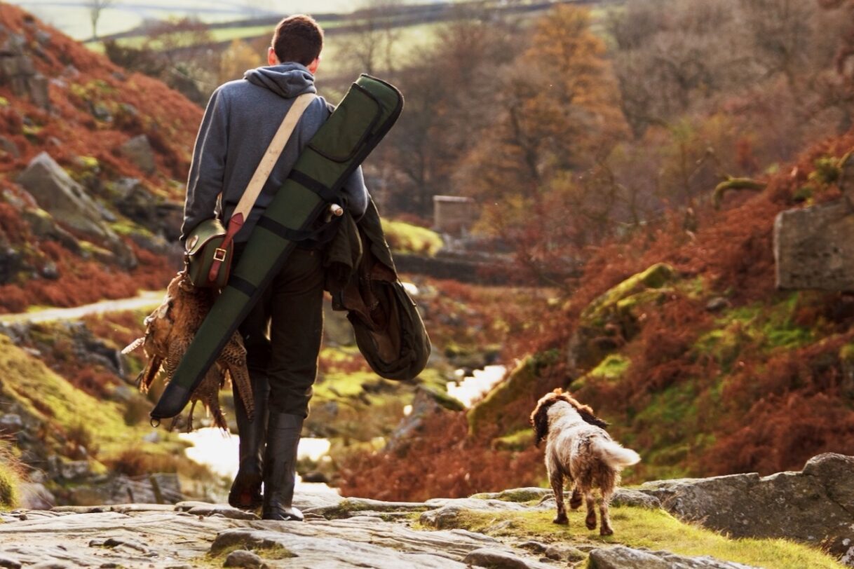 Meet Canada’s 16 most popular breeds of hunting dog • Outdoor Canada