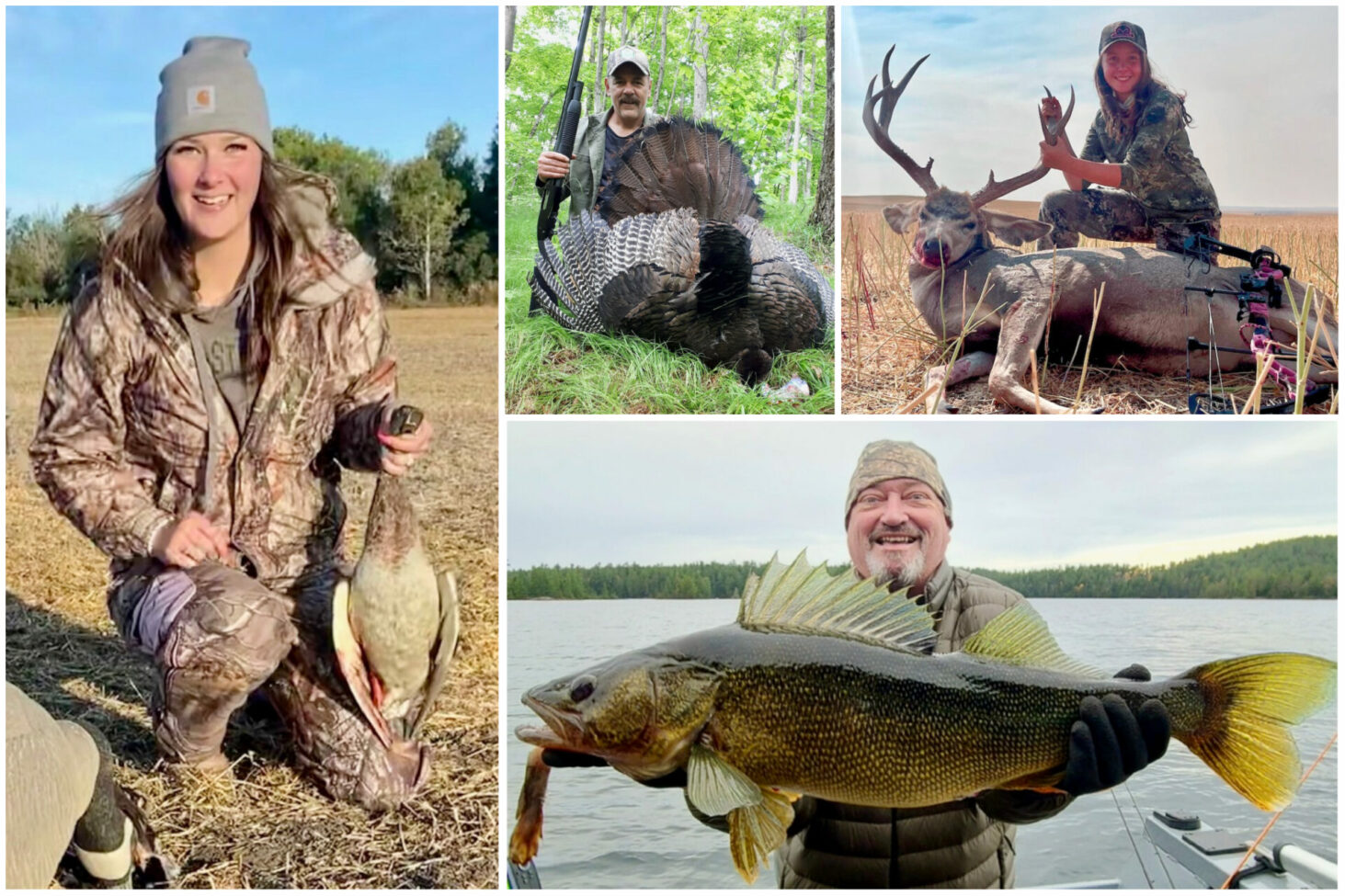 The 5 Best Hunting-dog Breeds • Outdoor Canada