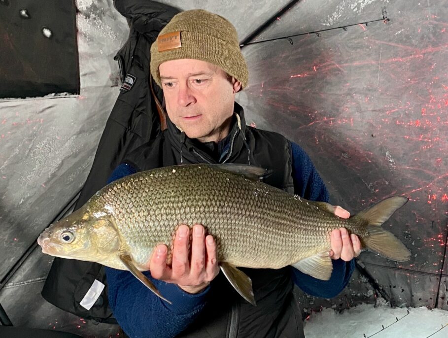 Ice-fishing Friday: Essential tips and tactics for catching whitefish ...