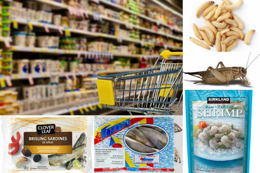 This spring, New Brunswick marks the fifth year of its ever-expanding ...