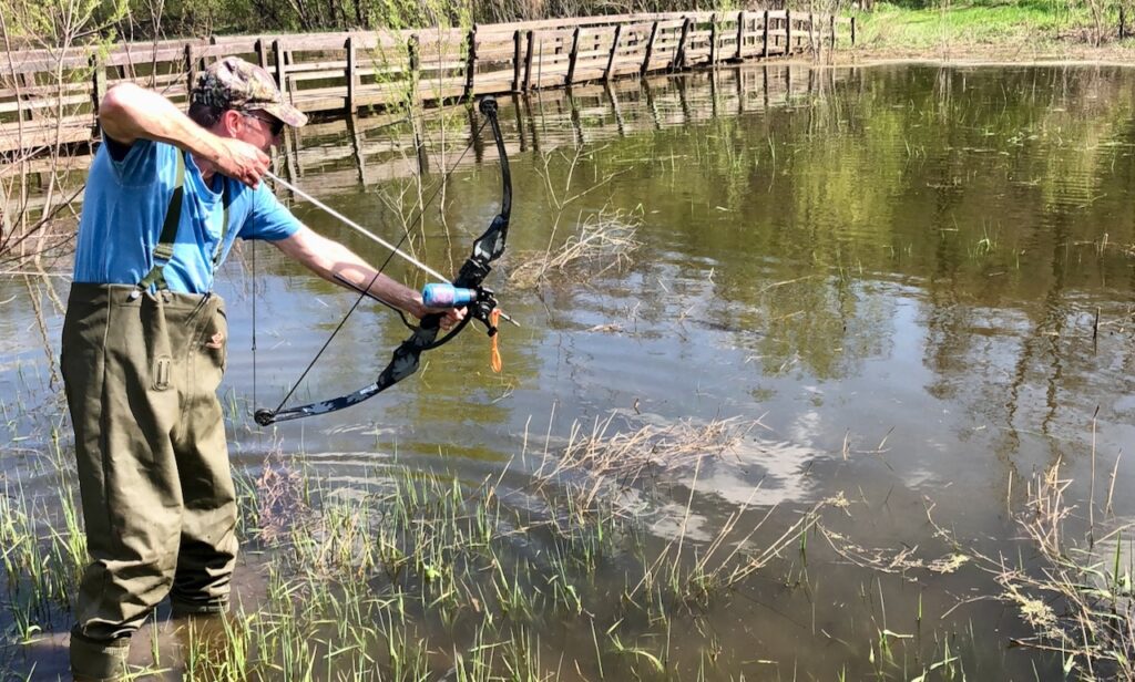 Interested in bowfishing? These expert tips on gear and tactics will ...