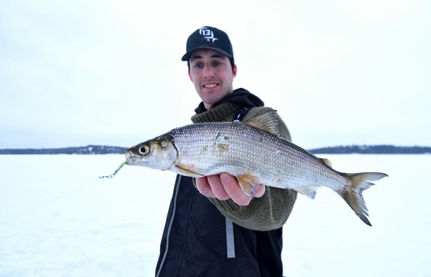 Declining cisco populations mean big trouble for walleye, lake trout ...