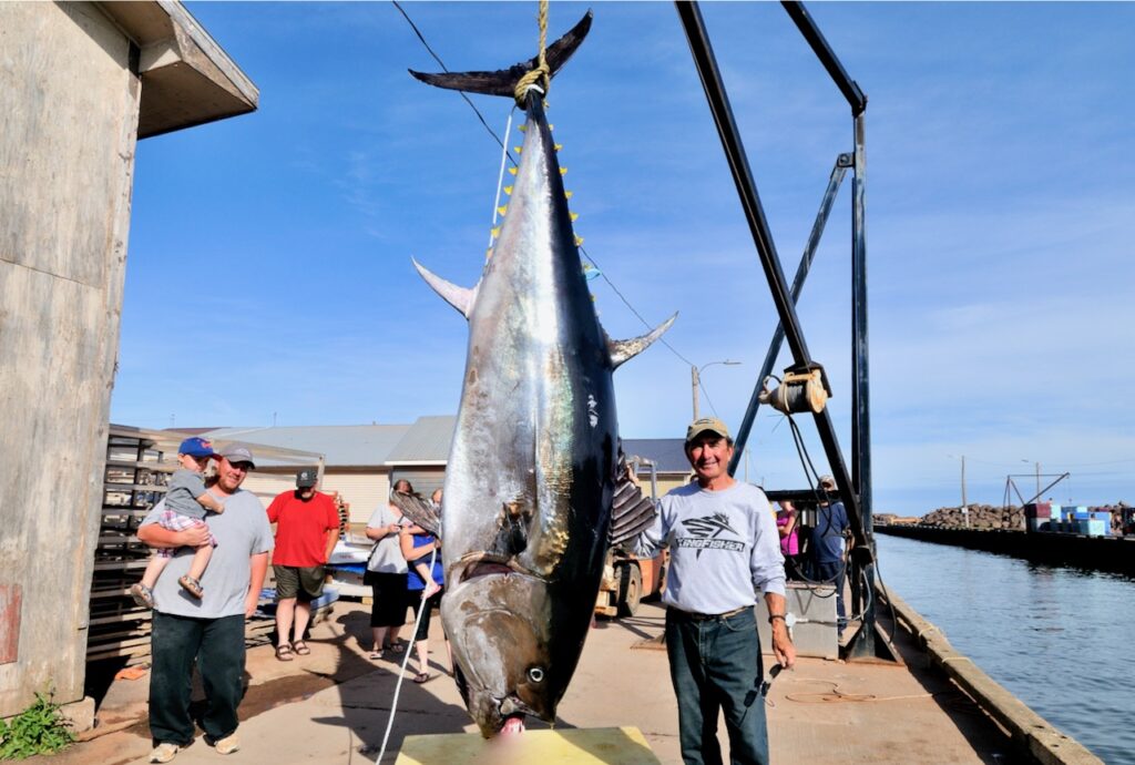 38 fishing hot spots where you can catch Canada’s very biggest gamefish ...