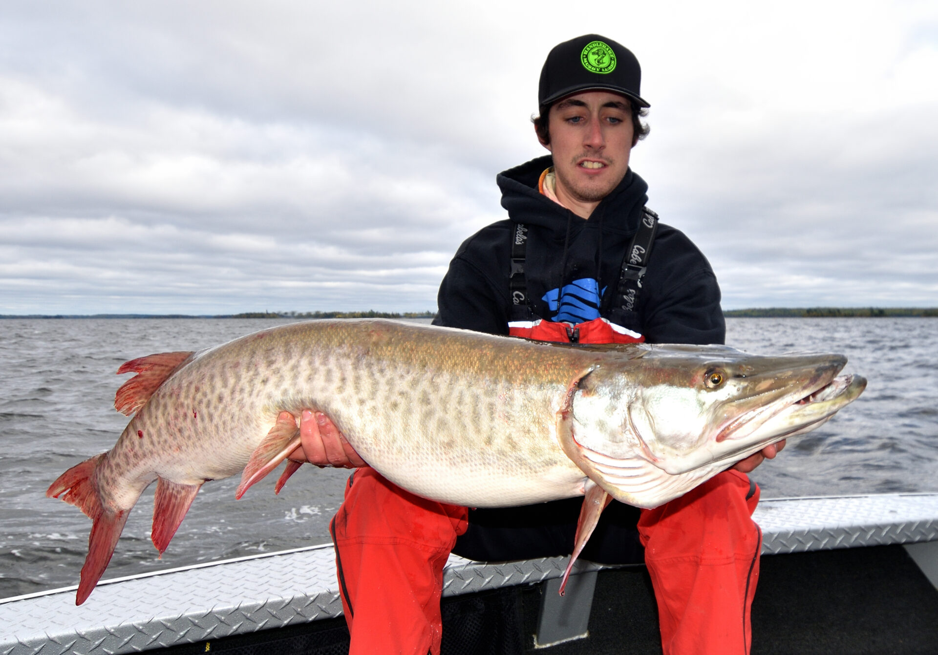 More must-know science about why ciscoes are so important to your ...