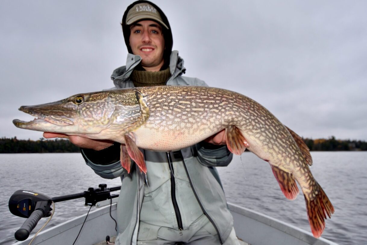 New science shows how to find big pike in late summer and early fall ...