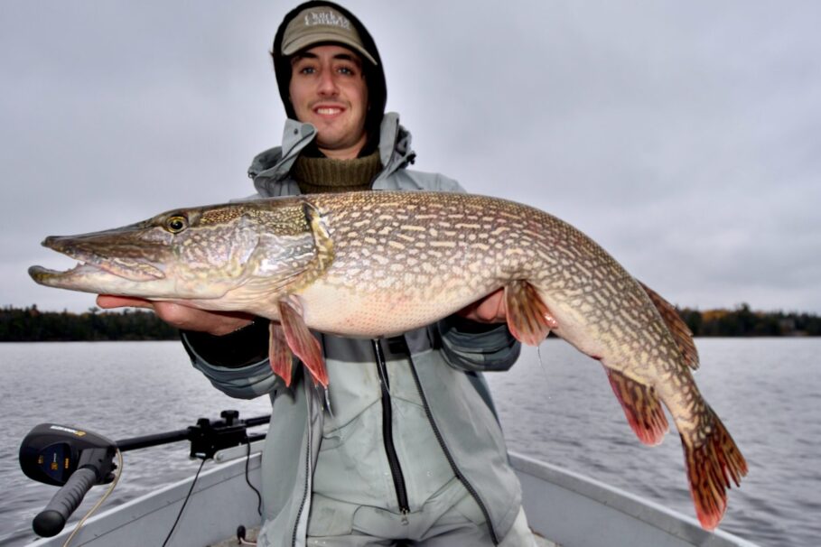 New science shows how to find big pike in late summer and early fall ...