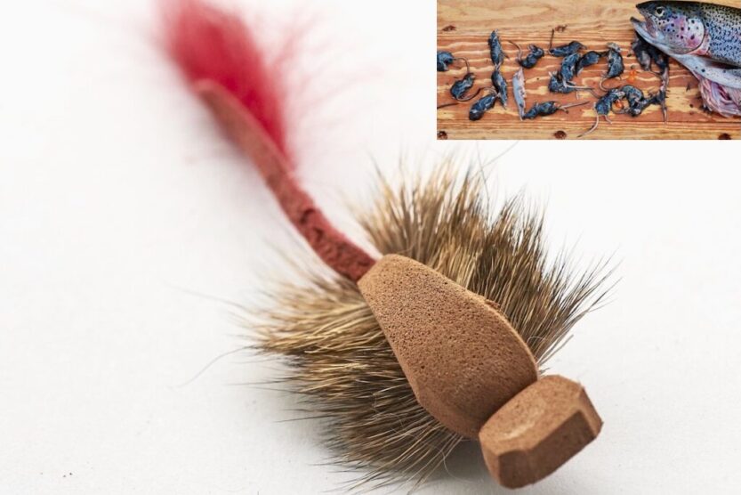 Mouse flies are an easy and exciting way to target big fish. Here’s how ...
