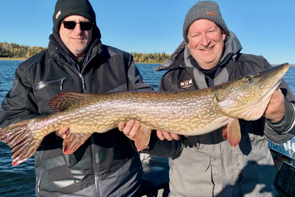 How to find—and catch—the very biggest northern pike in fall • Outdoor ...