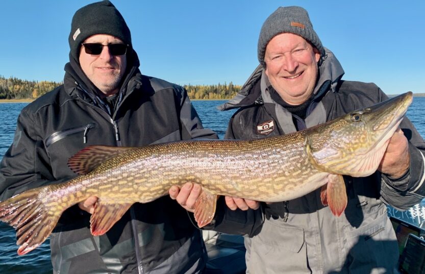 How to find—and catch—the very biggest northern pike in fall • Outdoor ...