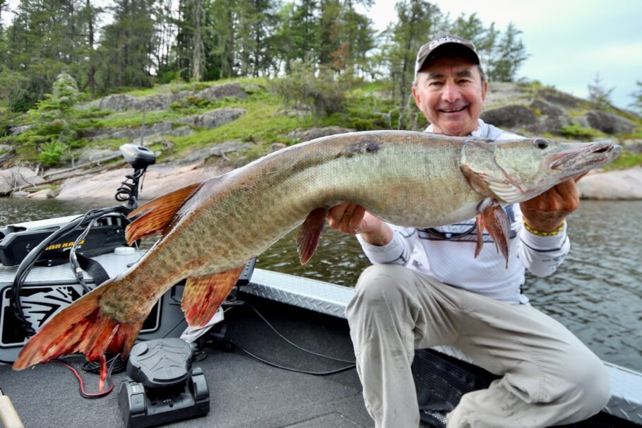 Finding ciscoes can help you catch more giant walleye, lake trout, pike ...