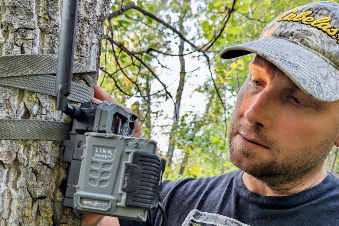 How to get the best wildlife images from cellular trail cams • Outdoor ...