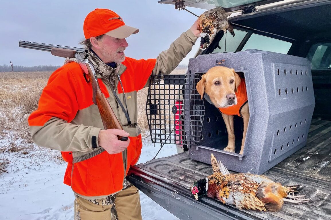 10 Canadian Duck Species—Other Than Mallards—You Should Set Your Sights ...