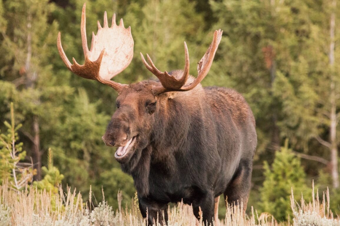 How to troll from a canoe • Outdoor Canada