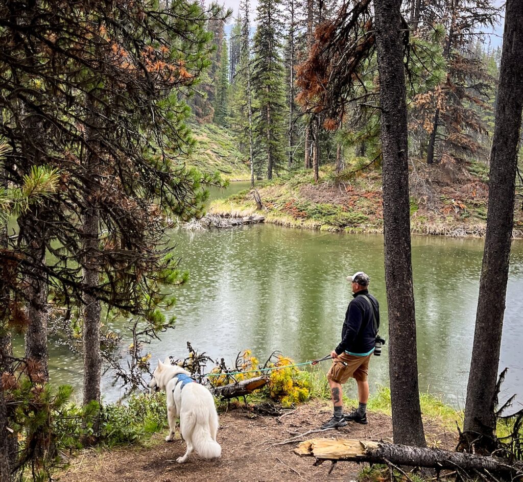 Leave No Trace Canada launches online campaign to help Canadians ...