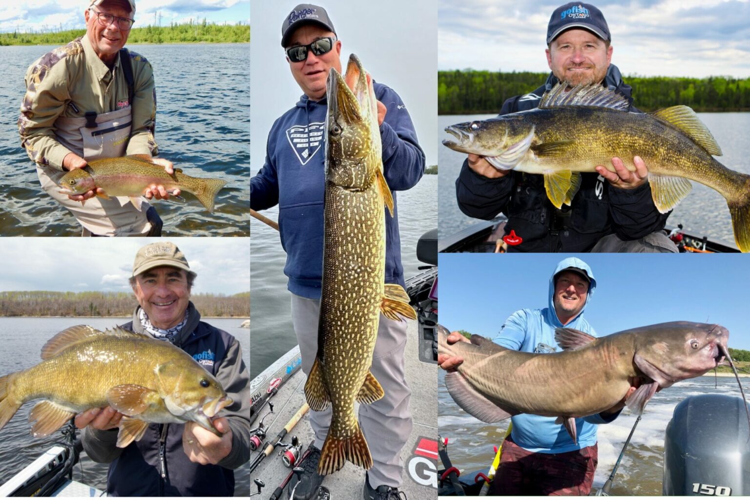 8 Fall Fishing Tips for Bass • Outdoor Canada