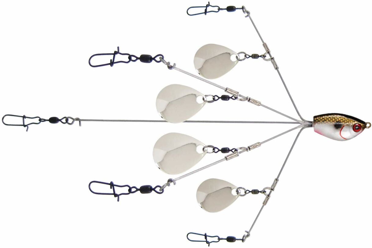 5 pro anglers (reluctantly) reveal their top-secret tactics for bass ...