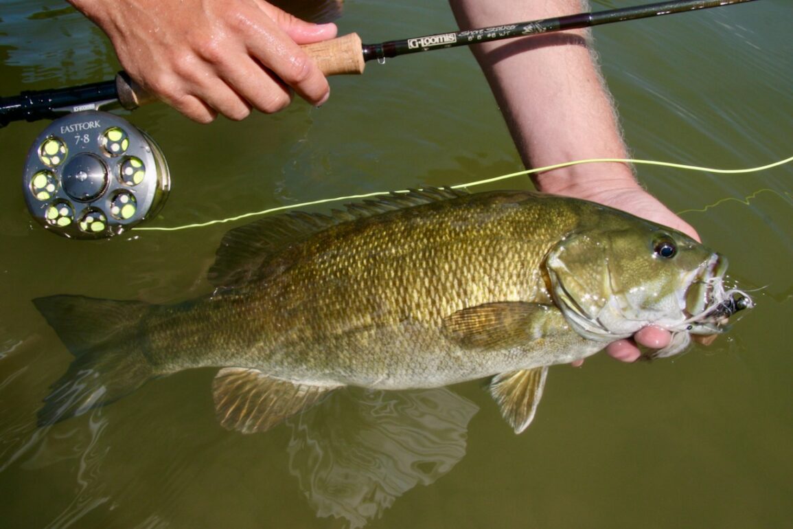 How to rig an anchovy for salmon and trout • Outdoor Canada