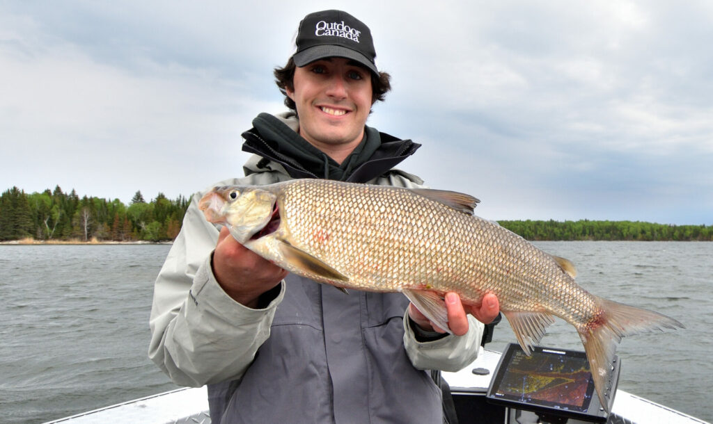 How to rig an anchovy for salmon and trout • Outdoor Canada