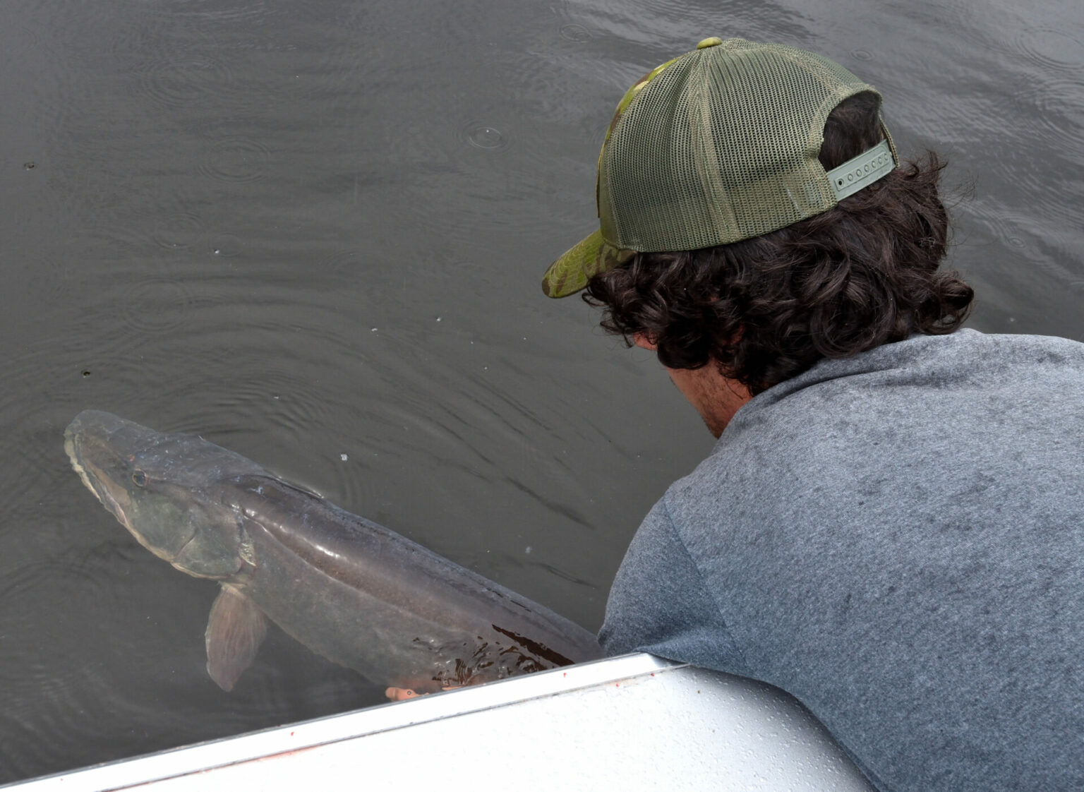 How to rig an anchovy for salmon and trout • Outdoor Canada