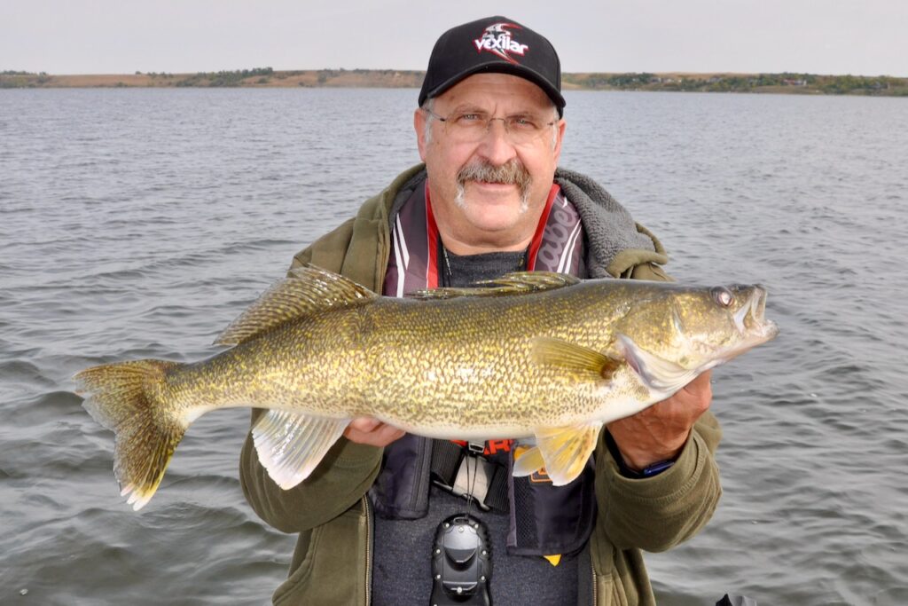 The fall walleye bite can be the hottest of the year. Here’s what you ...