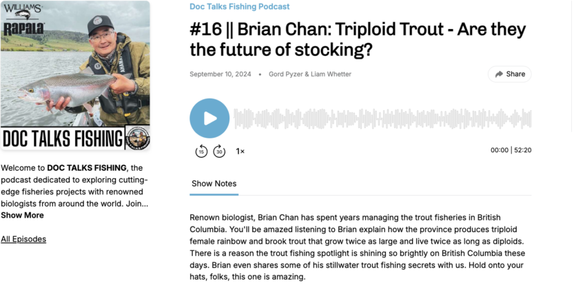 Expert secrets for catching the giant "triploid" rainbow trout of B.C ...