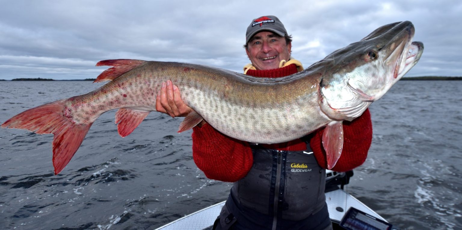 The Real Truth About Black Spot Disease, and How It Affects Fish ...