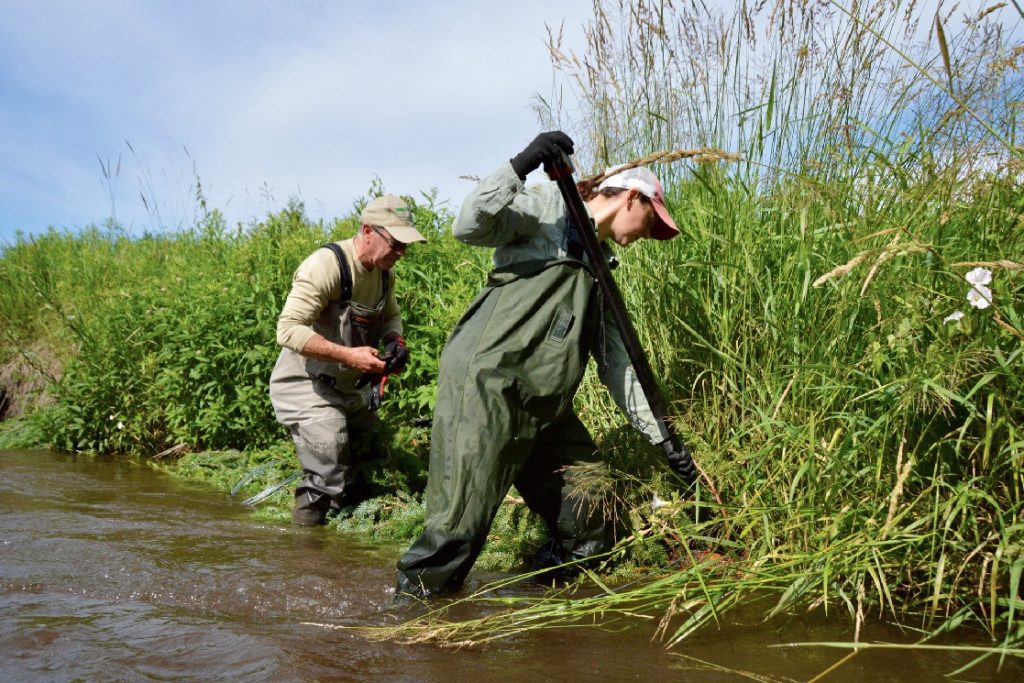 Ontario’s Nottawasaga river is getting a renewed lease on life thanks ...