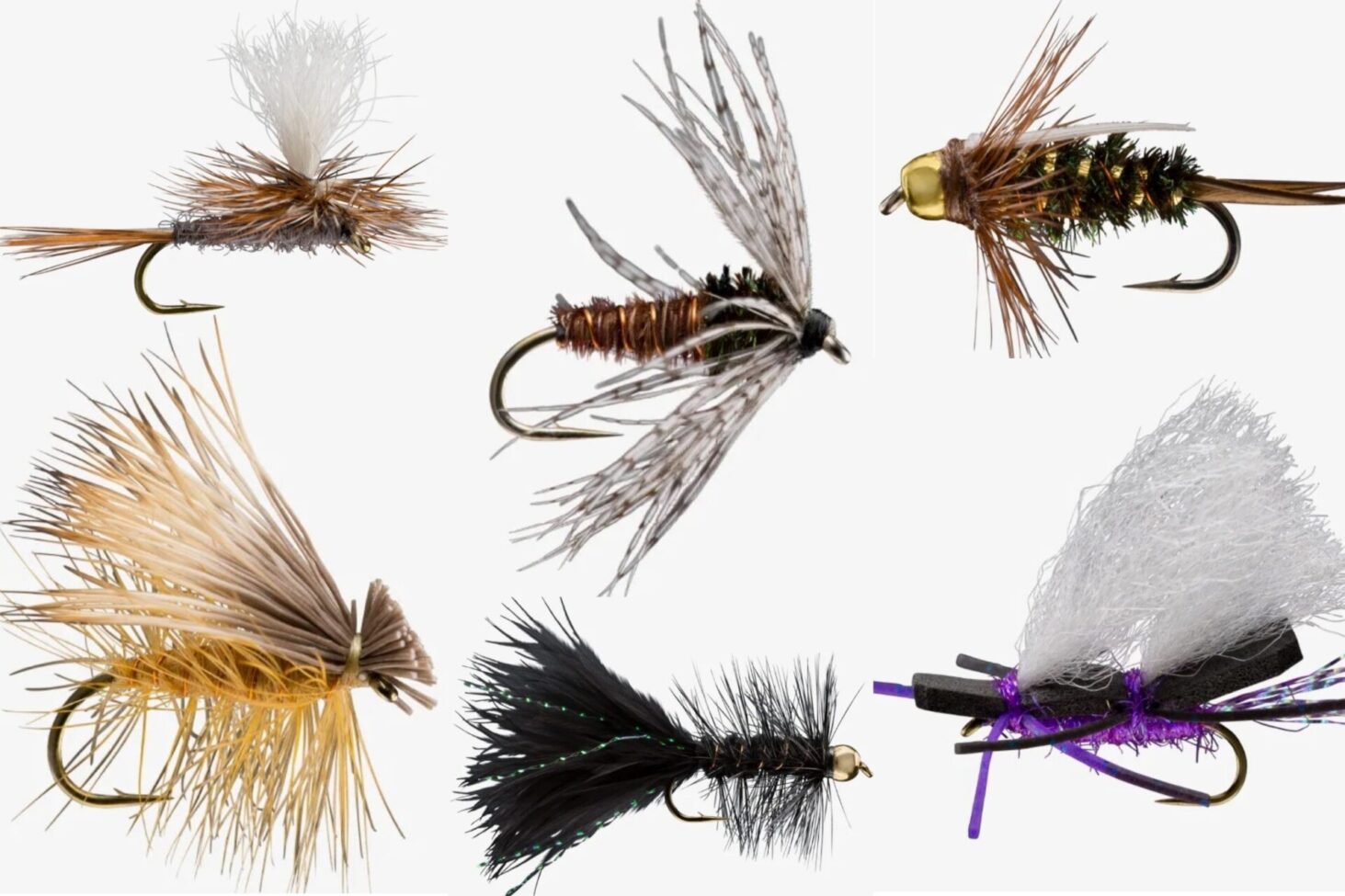 Your total guide to catching splake through the ice • Outdoor Canada