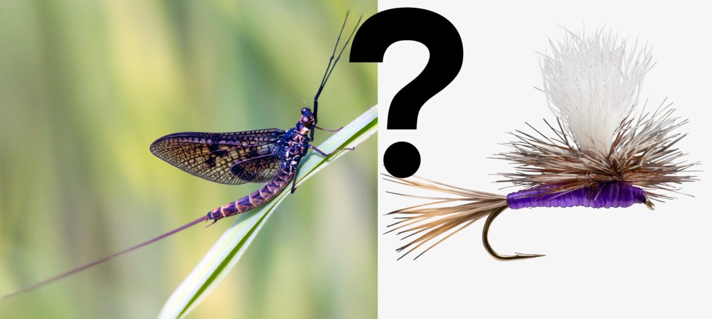 For 30 years I tried to match the hatch while fly fishing, but now I ...