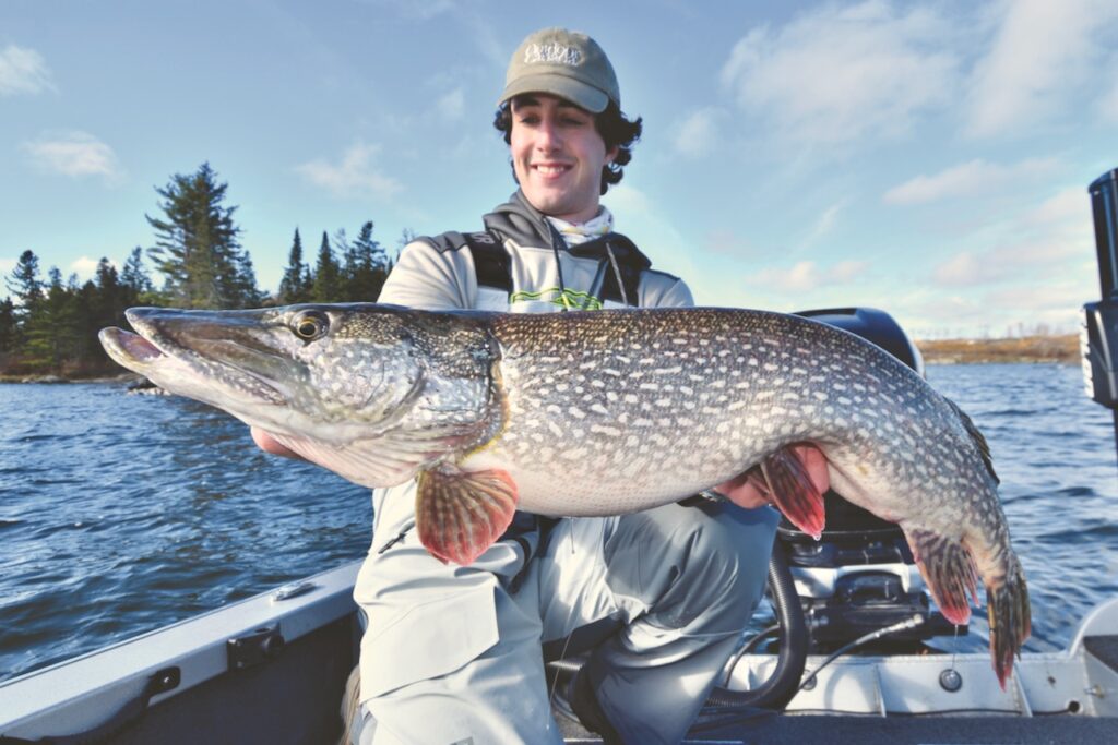 6 Moose Behaviours • Outdoor Canada