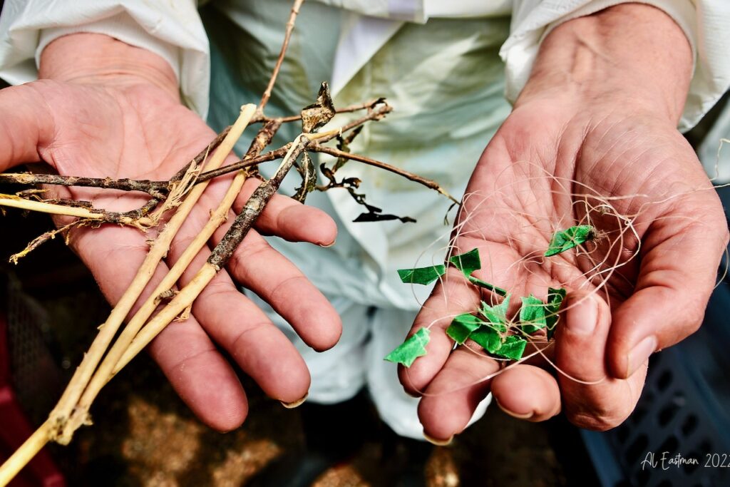 Your total guide to catching splake through the ice • Outdoor Canada