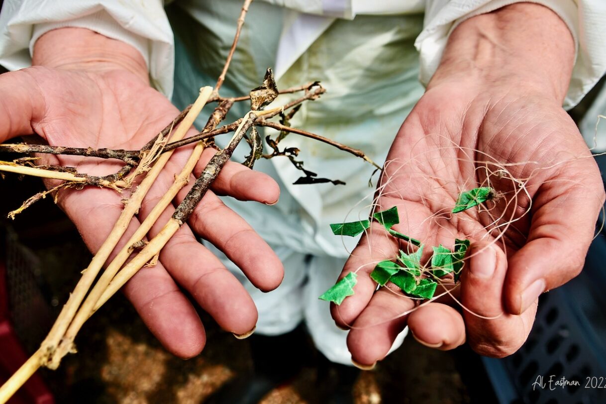 Leave No Trace Canada launches online campaign to help Canadians ...