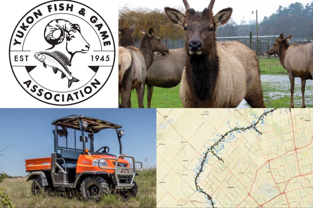 Rifle review: The Rocky Mountain from Quebec’s Antler Firearms is made ...