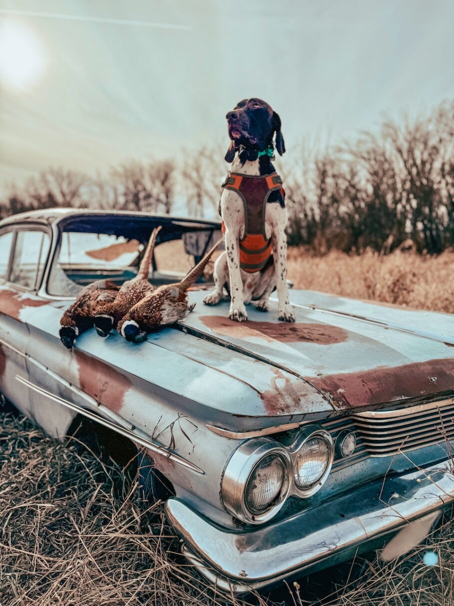 Even more fantastic shots from Outdoor Canada’s latest photo contest ...