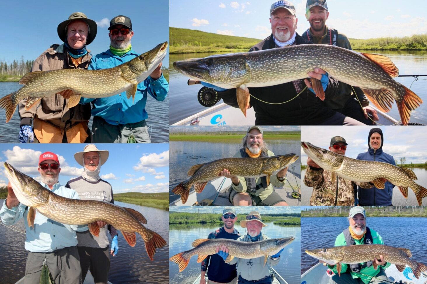 Saskatchewan’s Cree River belongs on every pike angler’s bucket list ...