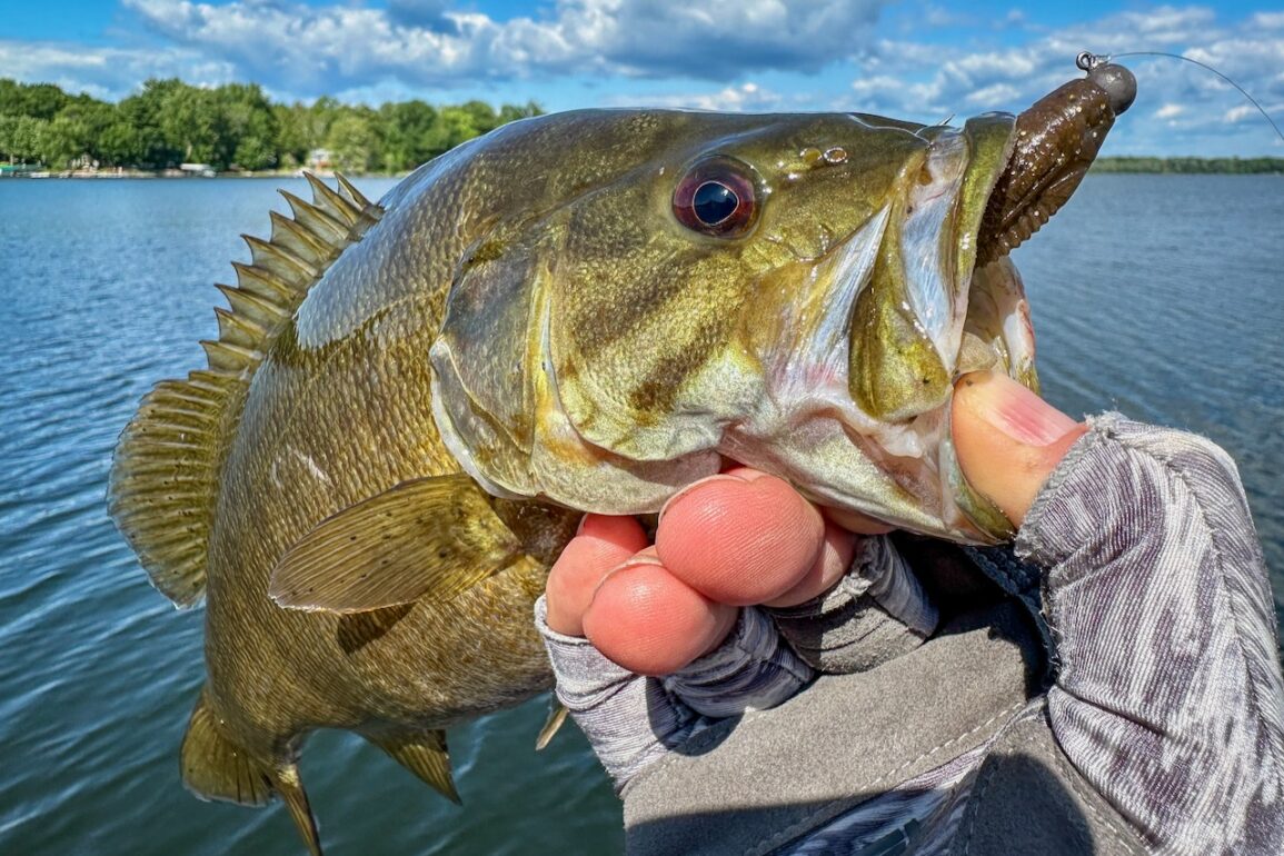 World Record Walleye • Outdoor Canada