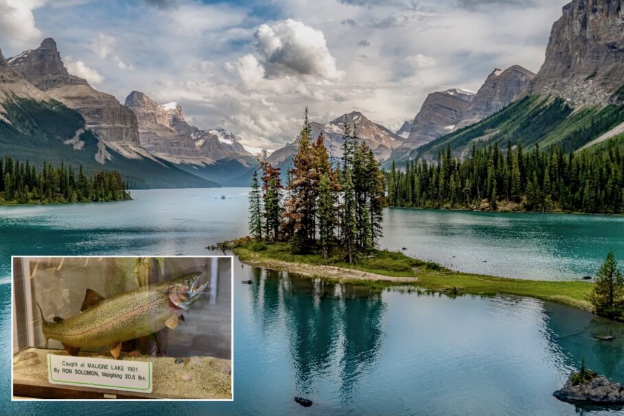 Fishing regulations for every Canadian province and territory • Outdoor ...