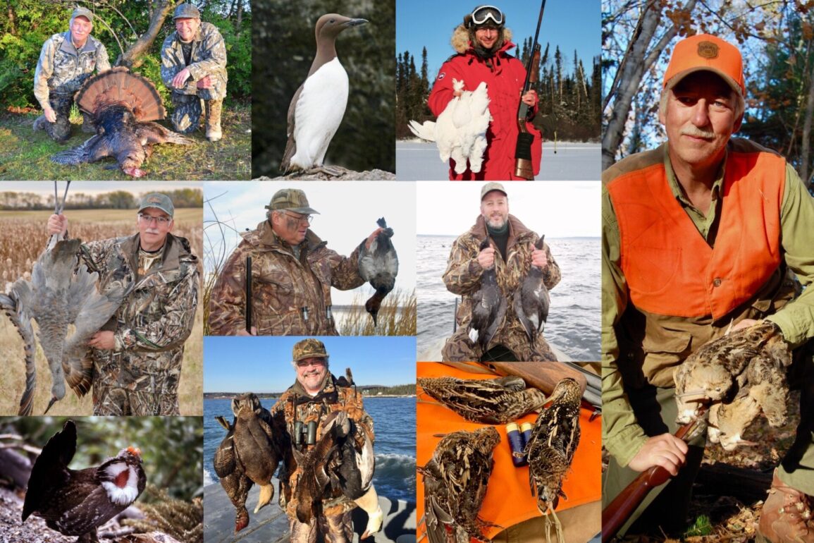 10 Canadian Duck Species—Other Than Mallards—You Should Set Your Sights ...
