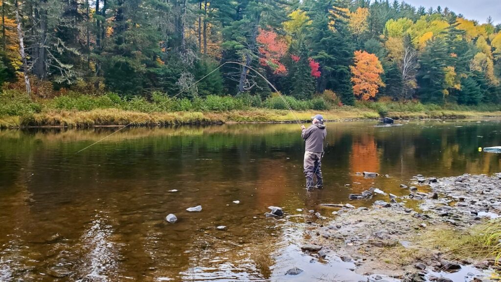 3 tips for fly-fishing success in autumn, including timing, flies and ...