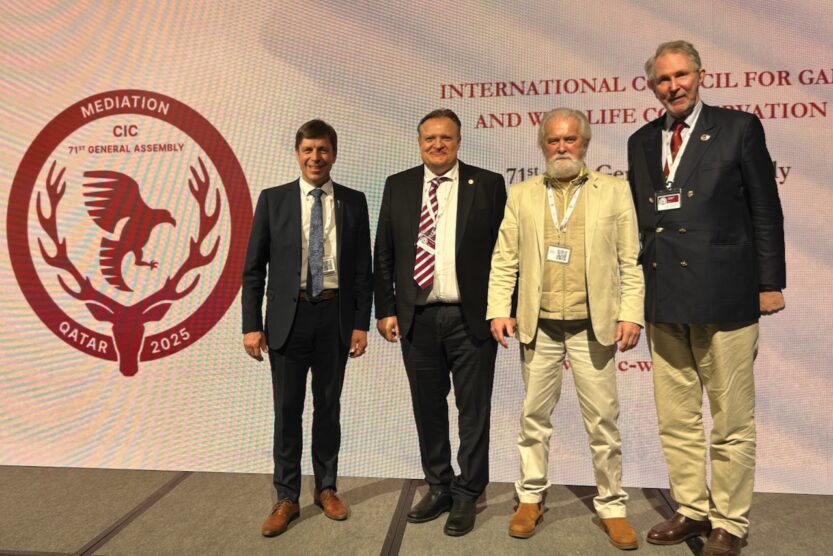 Rifle review: Made for tough hunts, Howa’s Superlite is impressively ...