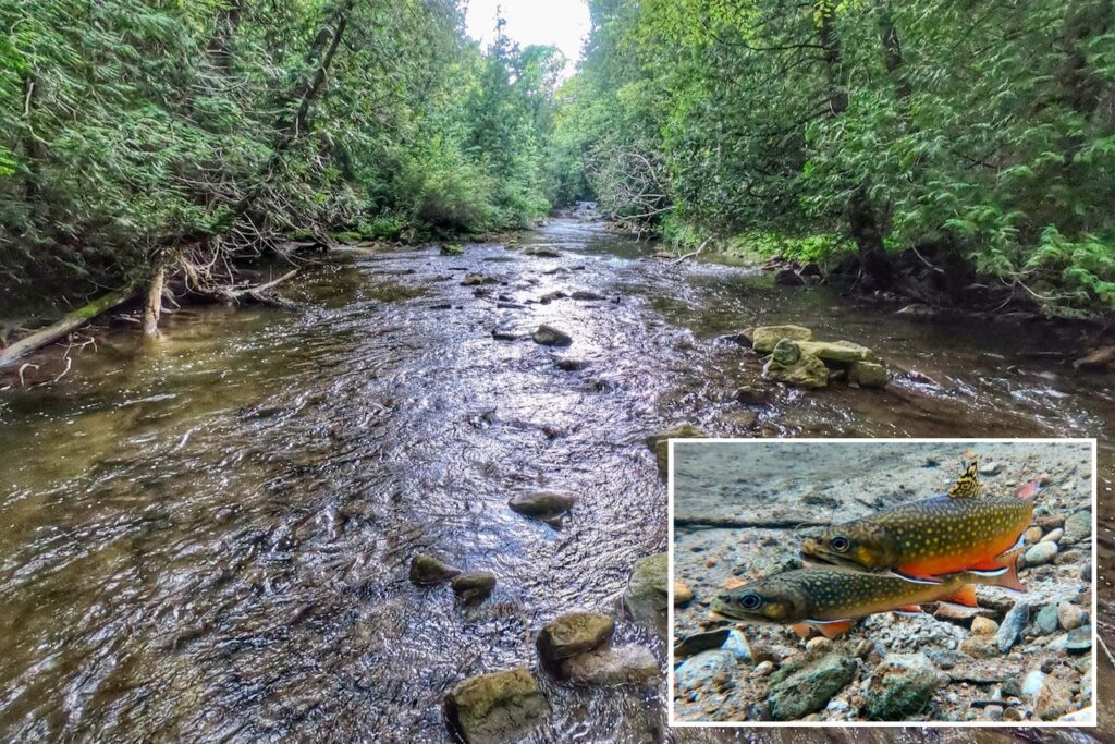 The Hanson buck: After 25 years, this Saskatchewan whitetail is still ...
