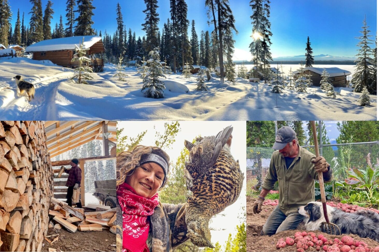 12 hard truths about off-grid living that no one warns you about ...