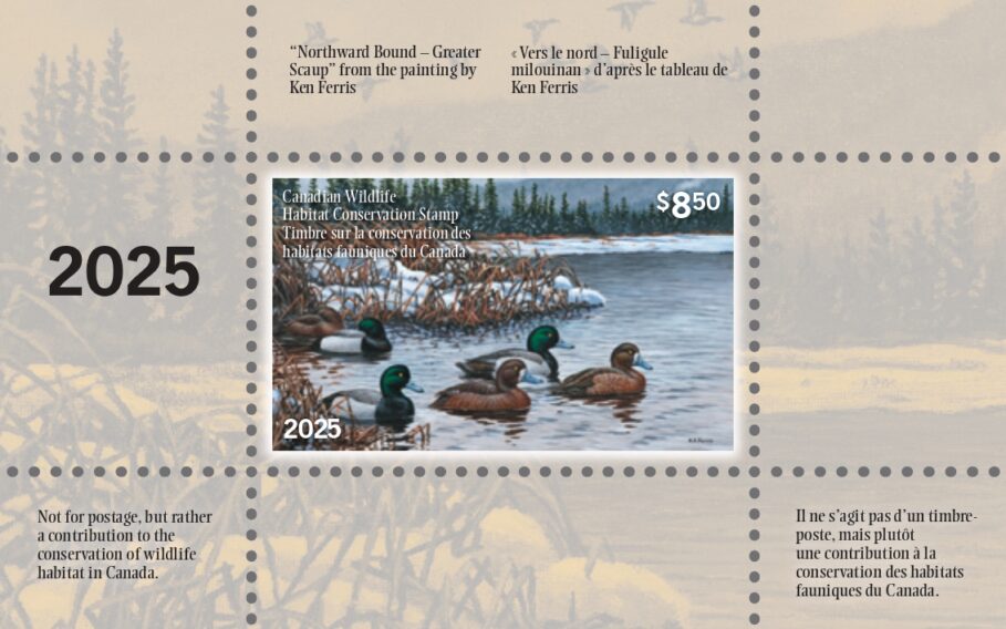 Over 4,000 Canadian hunters took a national conservation survey. The ...